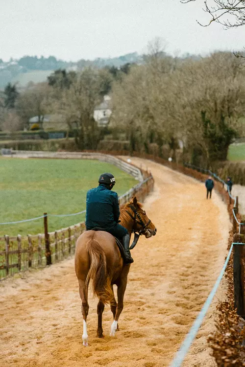 Sand and Sawdust Gallop - Rockfield Farm