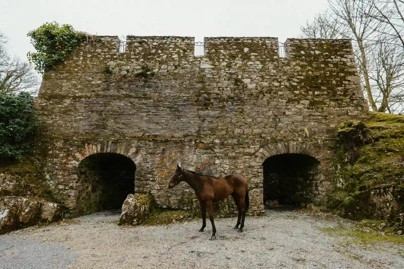 About Rockfield Farm in Kilcrea, Cork owned by Michael O'Flynn