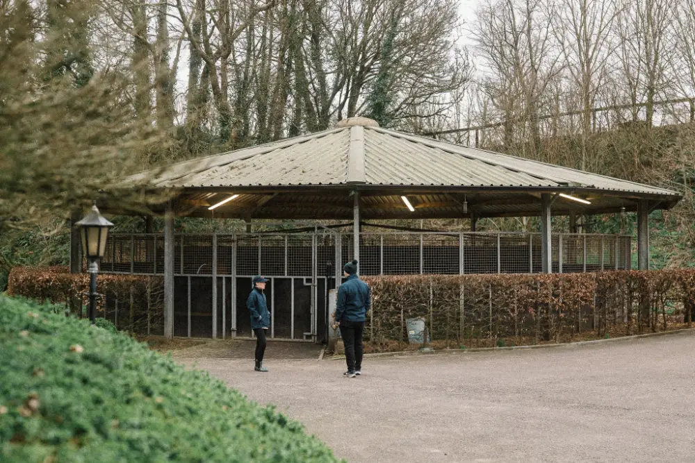 Walker - Rockfield Farm